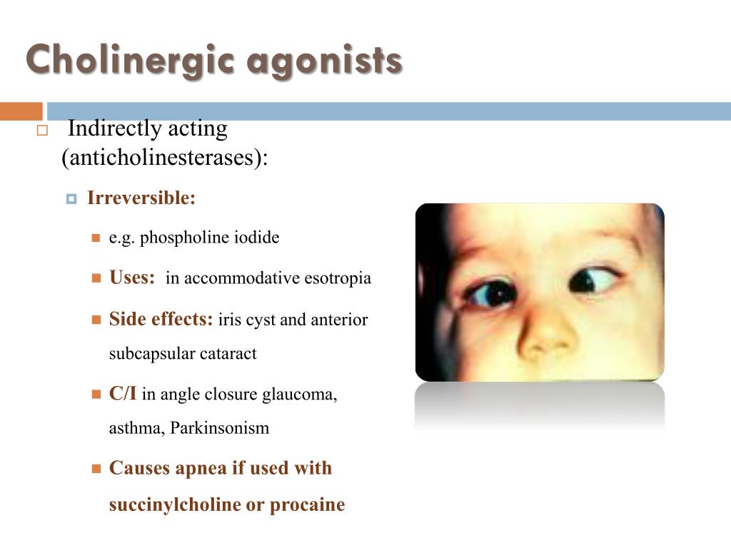 PPT - Ocular pharmacology and toxicology PowerPoint Presentation, free ...