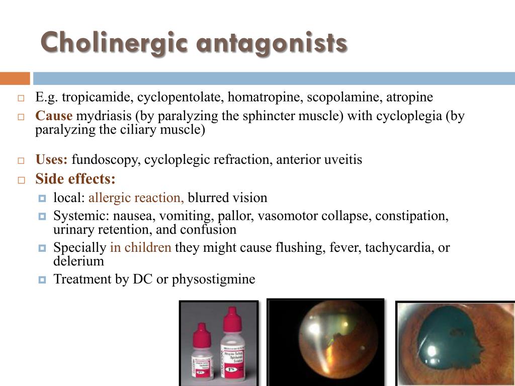 PPT - Ocular pharmacology and toxicology PowerPoint Presentation, free ...
