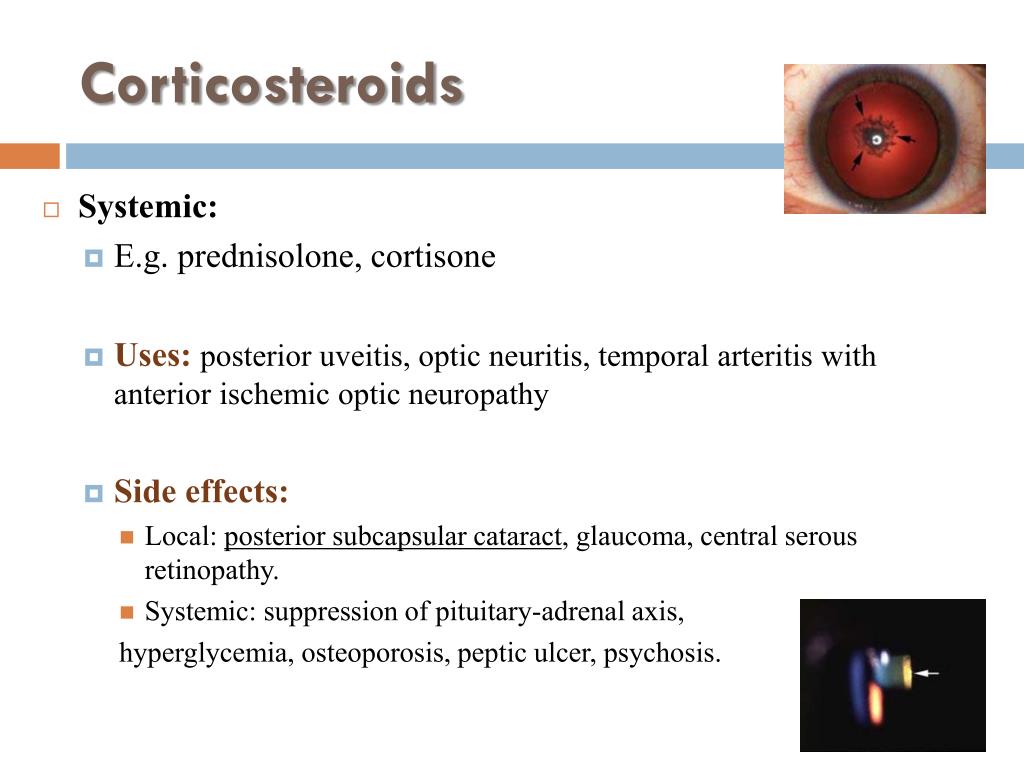 PPT - Ocular pharmacology and toxicology PowerPoint Presentation, free ...