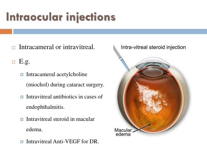 PPT - Ocular pharmacology and toxicology PowerPoint Presentation - ID ...