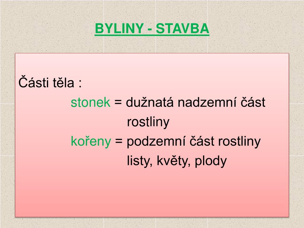 PPT - BYLINY A DŘEVINY ROZDĚLENÍ STAVBA ROSTLIN PowerPoint Presentation ...