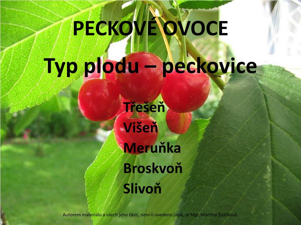 PPT - Ovocné rostliny Svět práce, 6. ročník VY_32_INOVACE_328 , 17 ...