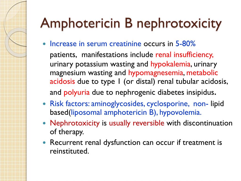 PPT - Drugs in kidney diseases PowerPoint Presentation, free download ...