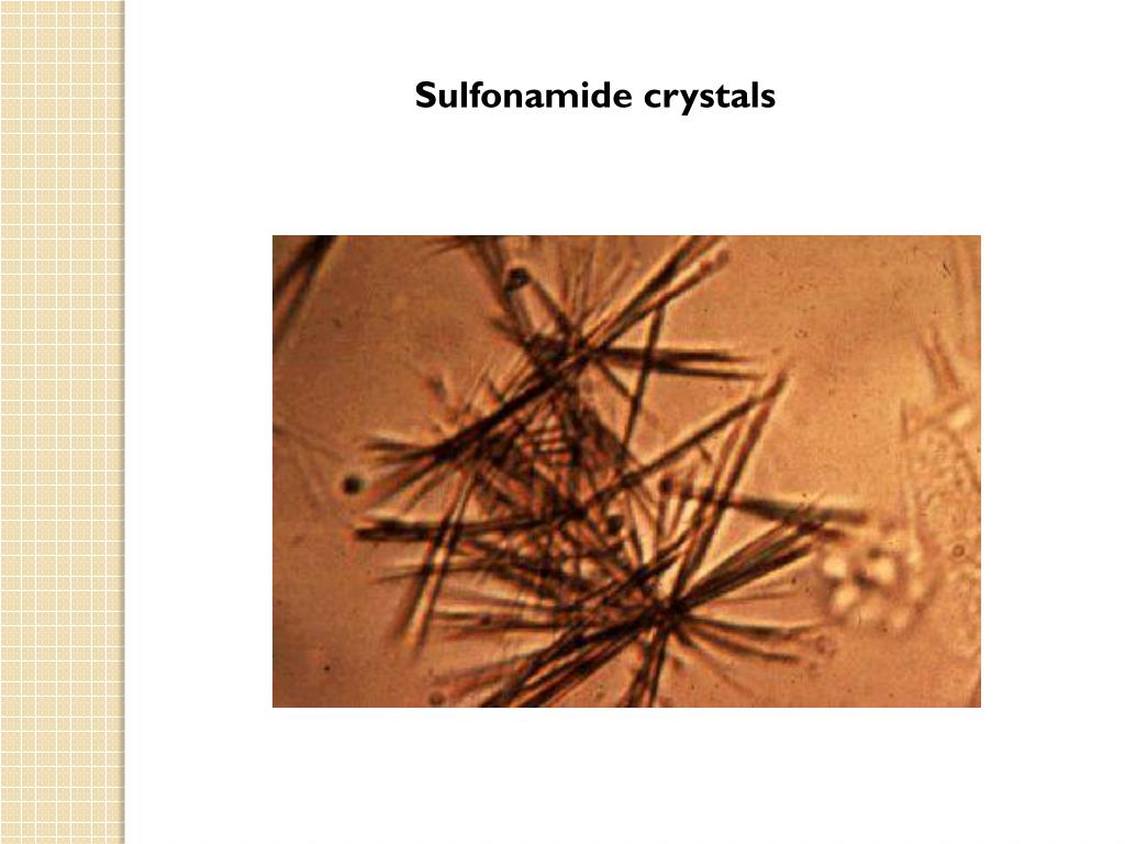 PPT - Drugs in kidney diseases PowerPoint Presentation, free download ...