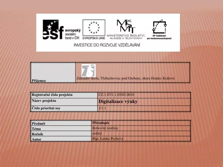 PPT - BOBOVITÉ ROSTLINY PowerPoint Presentation, free download - ID:2070546