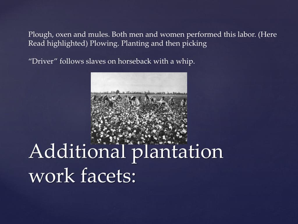 PPT - Slavery & Plantation Life. PowerPoint Presentation, free download ...
