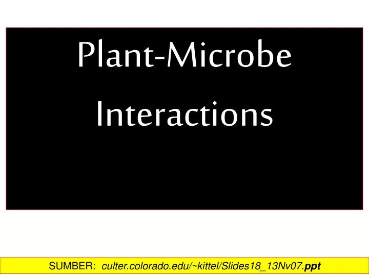 PPT - Plant-Microbe Interactions PowerPoint Presentation, free download - ID:2071998