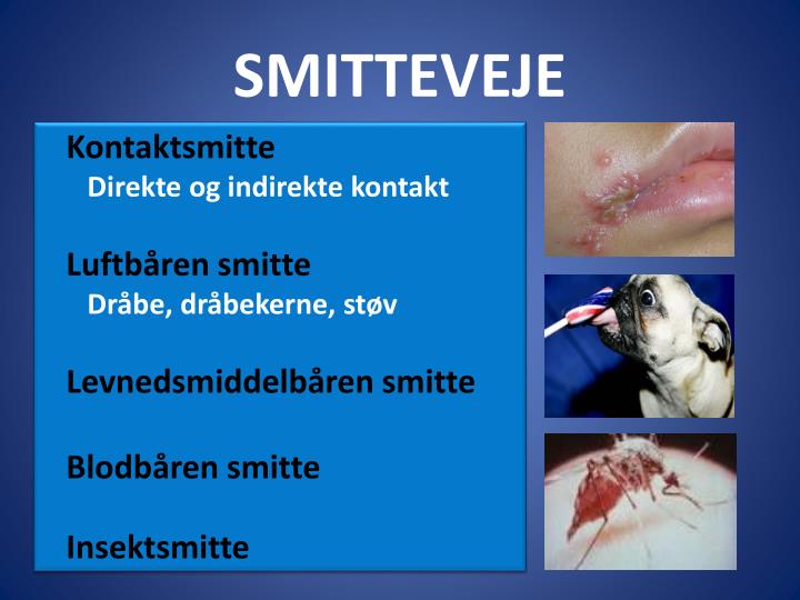 PPT - HYGIEJNE PowerPoint Presentation - ID:2072175