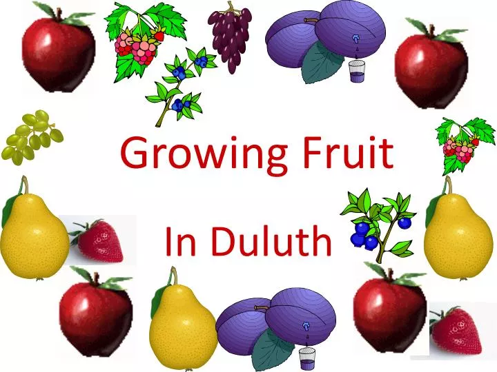 PPT - Growing Fruit PowerPoint Presentation, free download - ID:2072311
