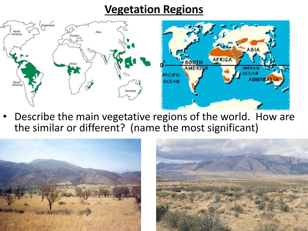 PPT - PHYSICAL, POLITICAL & URBAN GEOGRAPHY THEMES PowerPoint ...
