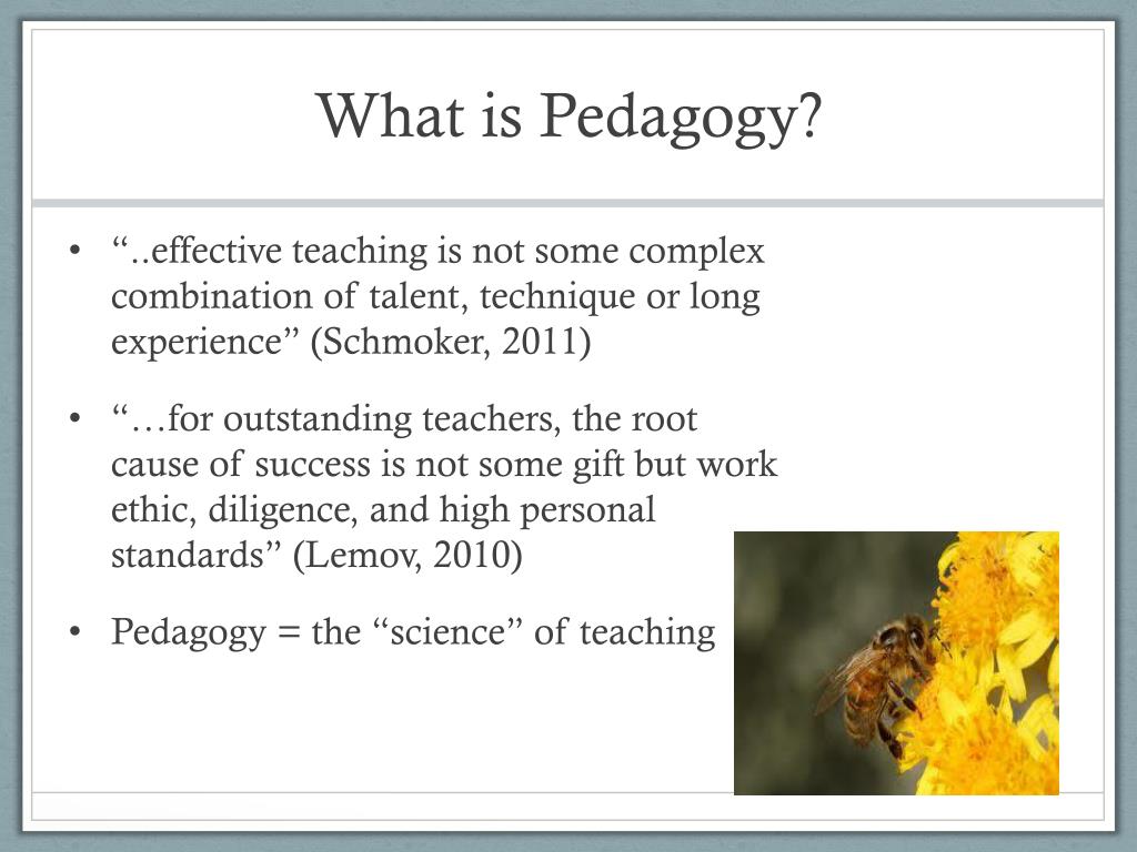 PPT - Culture, Curriculum & Pedagogy PowerPoint Presentation, free ...