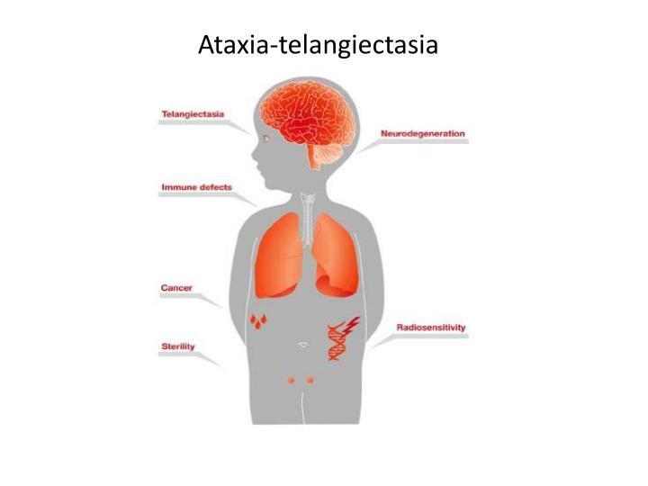 PPT - ATM PowerPoint Presentation - ID:2073778