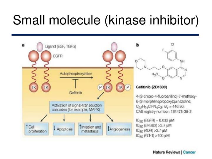 PPT - RESEPTOR TIROSIN KINASE PowerPoint Presentation - ID:2074147