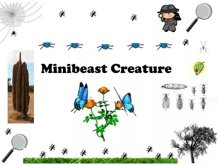 PPT - Minibeast Creature PowerPoint Presentation, free download - ID ...
