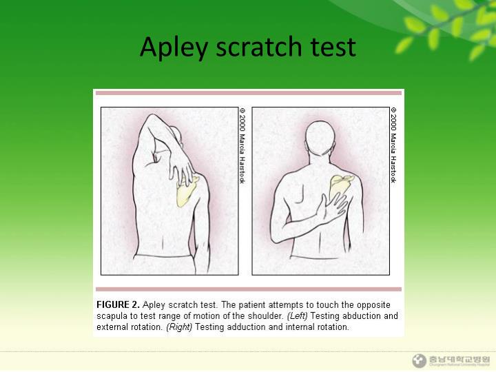 PPT - In the name of GOD PowerPoint Presentation - ID:2074425