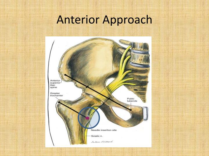 PPT - Sciatic nerve block PowerPoint Presentation - ID:2074459