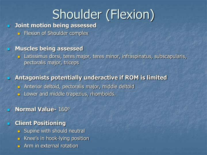PPT - Goniometric Assessment PowerPoint Presentation - ID:2074492