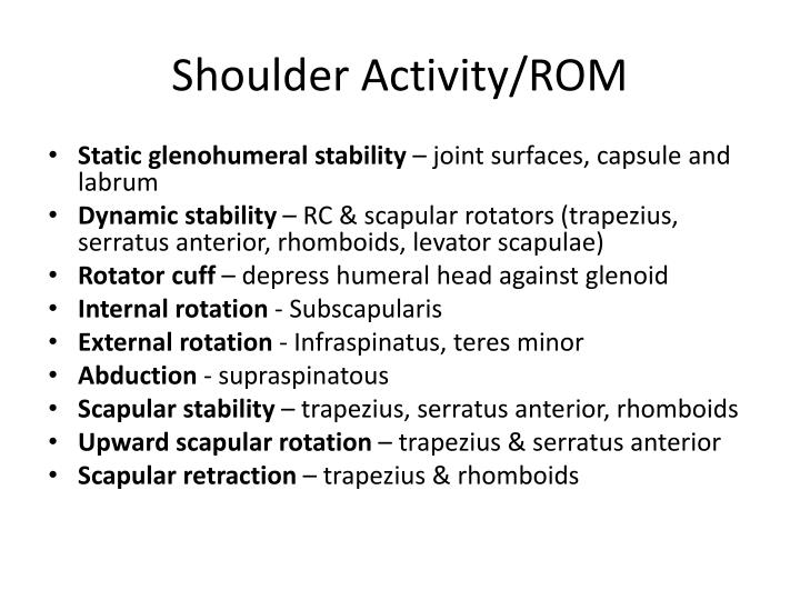 PPT - Shoulder Pain and the Shoulder Exam PowerPoint Presentation - ID ...