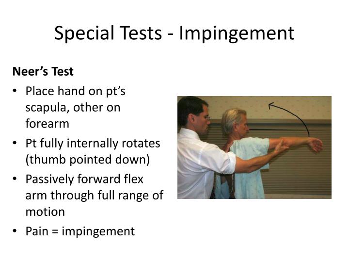 PPT - Shoulder Pain and the Shoulder Exam PowerPoint Presentation - ID ...