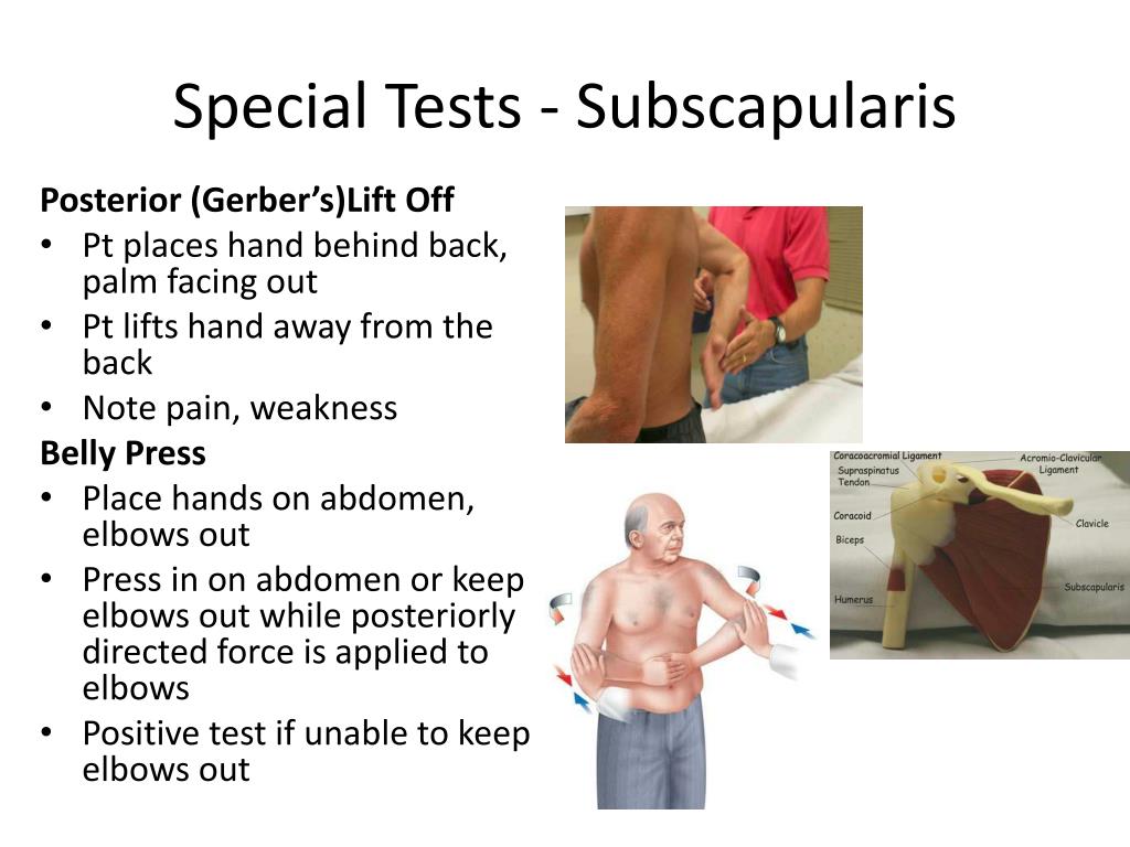 PPT Shoulder Pain And The Shoulder Exam PowerPoint Presentation Free PPT Shoulder Pain And The Shoulder Exam PowerPoint Presentation Free