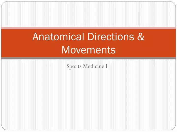 PPT - Anatomical Directions & Movements PowerPoint Presentation, free ...