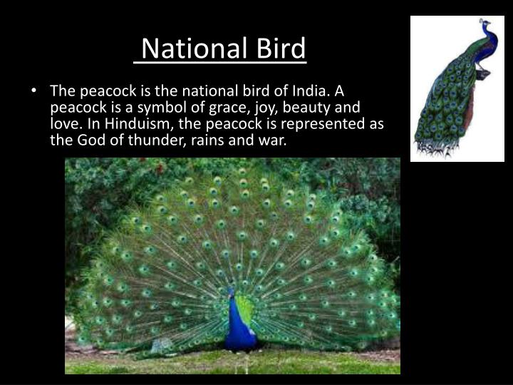 PPT - INDIA’S NATIONAL SYMBOLS PowerPoint Presentation - ID:2074801