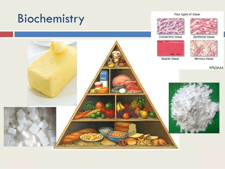 PPT - Biochemistry PowerPoint Presentation, free download - ID:2075043