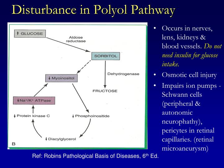 PPT - Complications of Diabetes Mellitus PowerPoint Presentation - ID ...