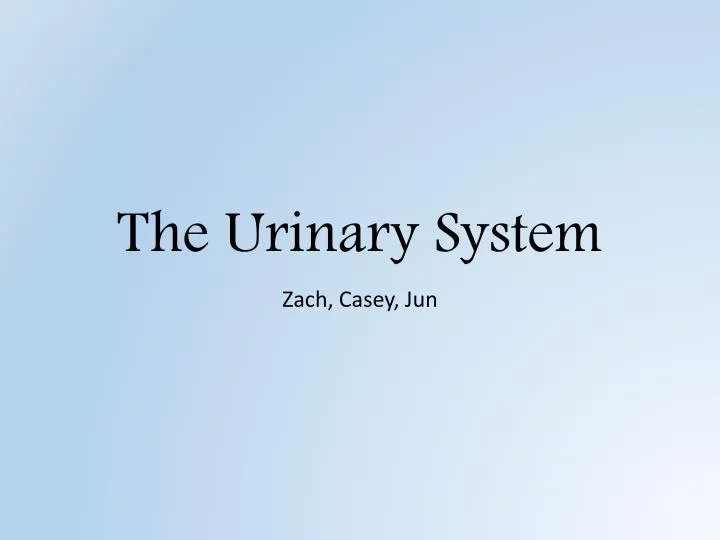 PPT - The Urinary System PowerPoint Presentation, free download - ID ...