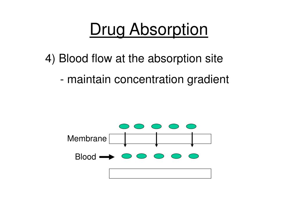PPT - Regulation of Drug Transport, Absorption, Distribution, Excretion ...