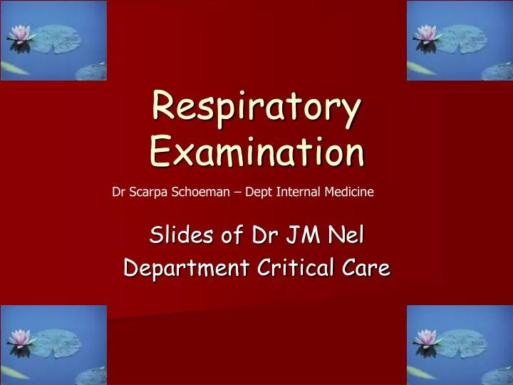 PPT - Respiratory Examination PowerPoint Presentation, free download ...