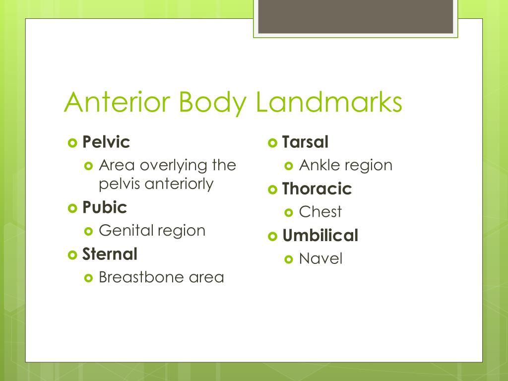 PPT - Anatomical Position, Directions, Regions , Planes, Cavities ...