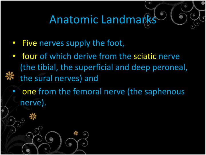 PPT - Ankle block PowerPoint Presentation - ID:2075464
