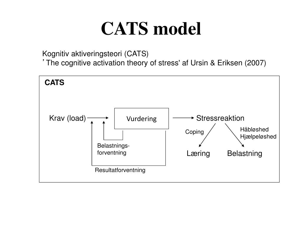 PPT - Individuel og kollektiv håndtering af tiden i hverdagslivet på ...