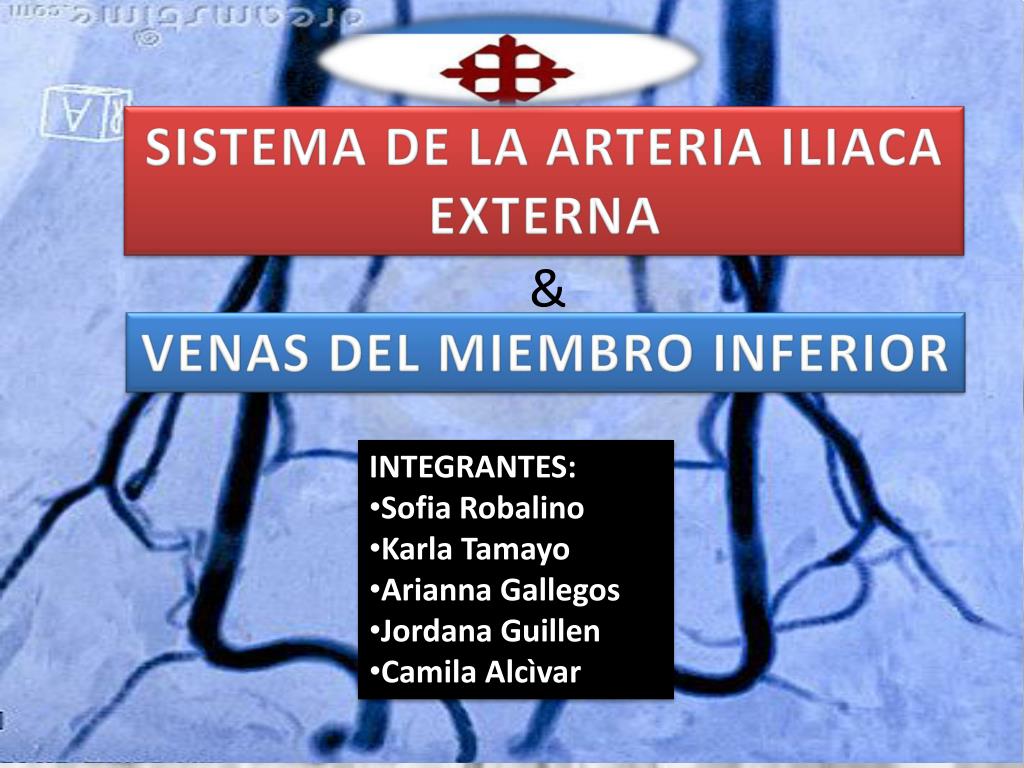 PPT - SISTEMA DE LA ARTERIA ILIACA EXTERNA PowerPoint Presentation ...