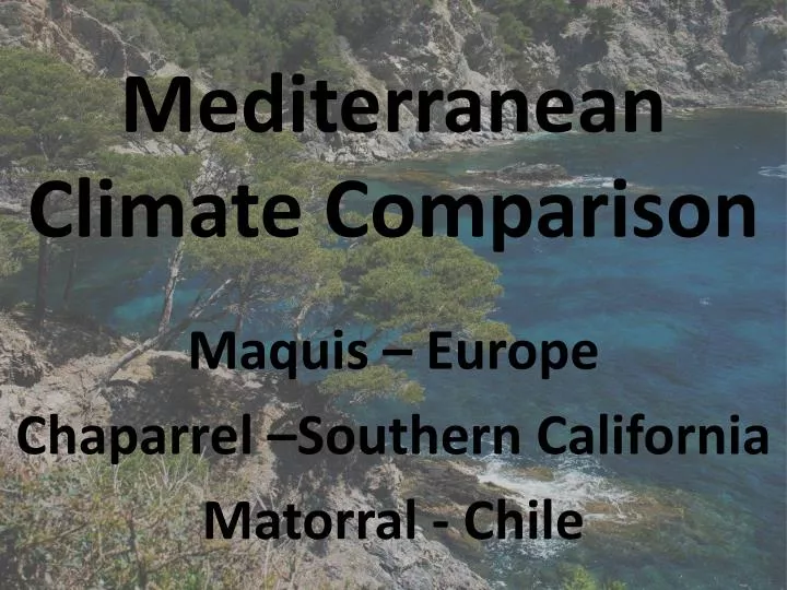 PPT - Mediterranean Climate Comparison PowerPoint Presentation, free ...