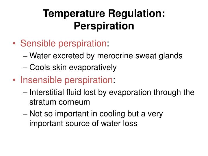 PPT - Integumentary System PowerPoint Presentation - ID:2076008