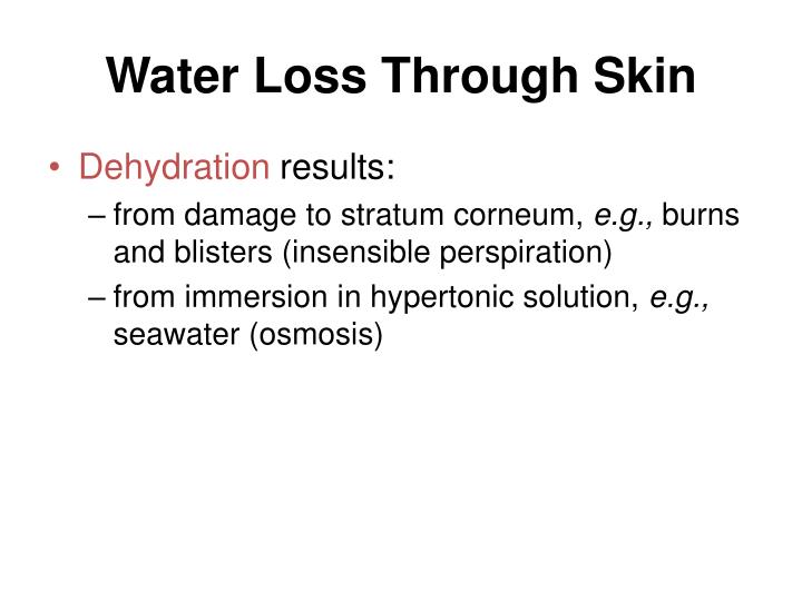 PPT - Integumentary System PowerPoint Presentation - ID:2076008
