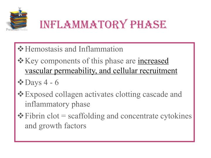 PPT - Wound Healing and The Problem Wound PowerPoint Presentation - ID ...