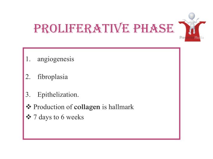 PPT - Wound Healing and The Problem Wound PowerPoint Presentation - ID ...