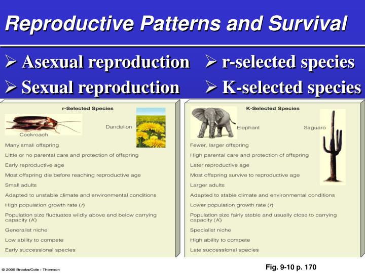 PPT - Population Ecology PowerPoint Presentation - ID:2076988