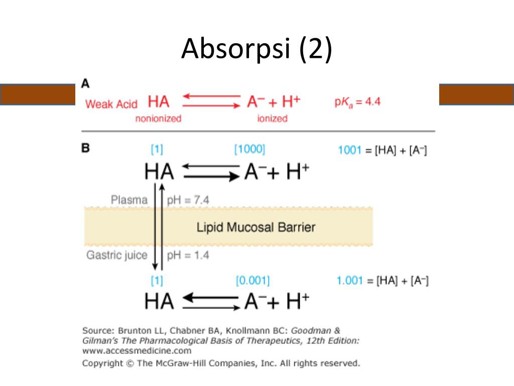 PPT - Farmakoterapi dan Polifarmasi pada Pasien G eriatri PowerPoint ...