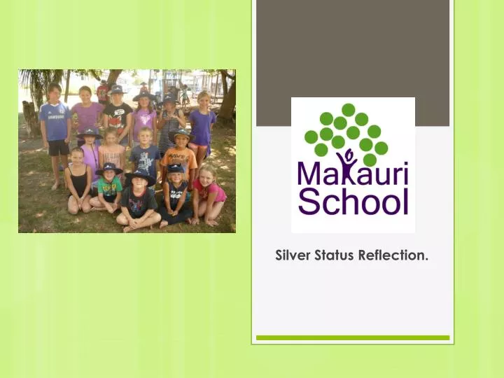 PPT - Silver Status Reflection. PowerPoint Presentation, free download ...