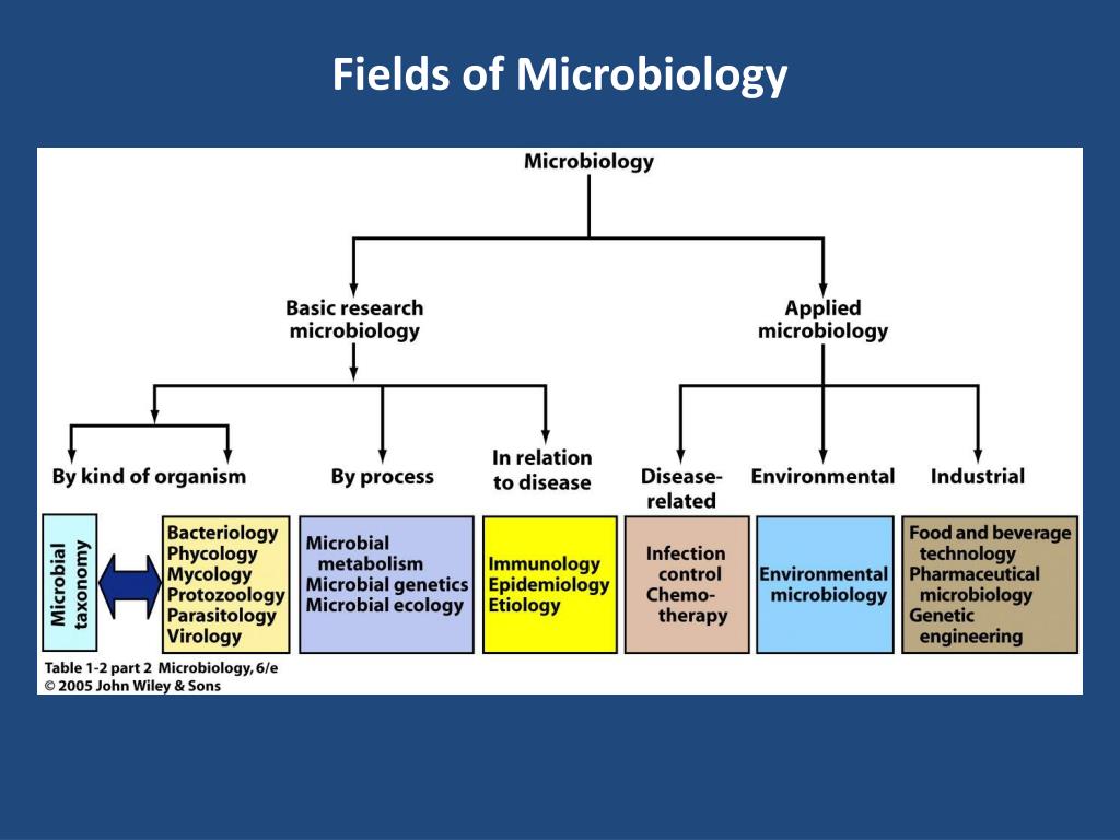 PPT - SEJARAH PERKEMBANGAN & RUANG LINGKUP MIKROBIOLOGI PowerPoint ...