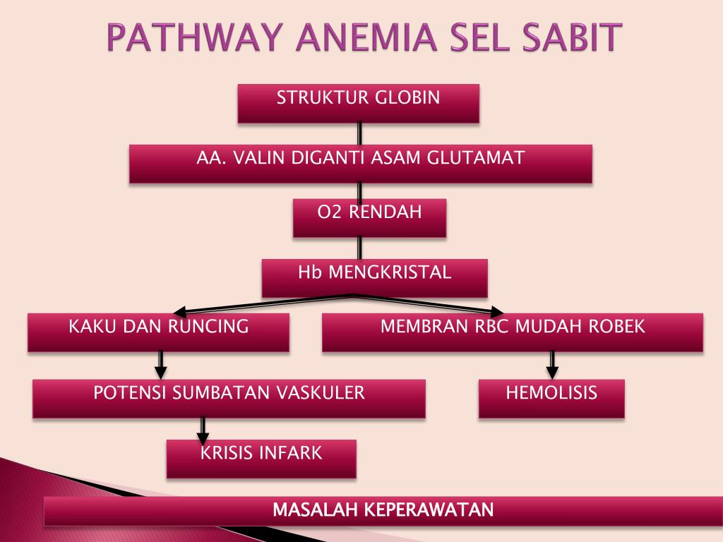 PPT - ASUHAN KEPERAWATAN Sickle cell anemia PowerPoint Presentation ...