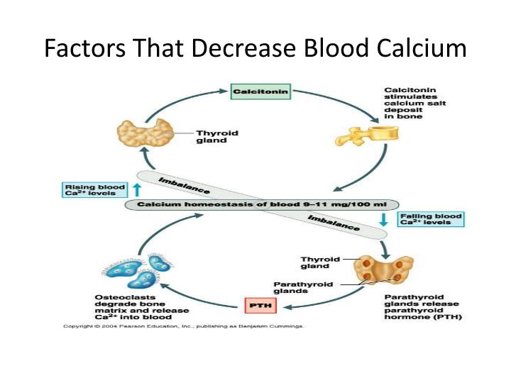 PPT - Bone Structure and Skeletal System PowerPoint Presentation - ID ...