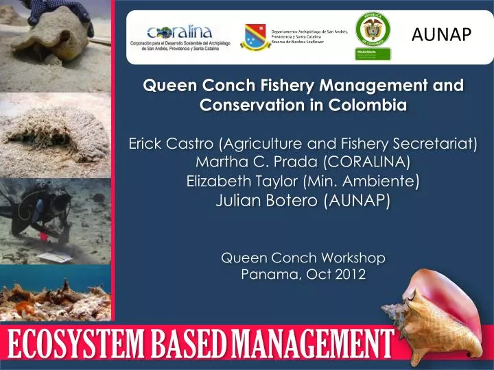 PPT - Queen Conch Fishery Management and Conservation in Colombia ...
