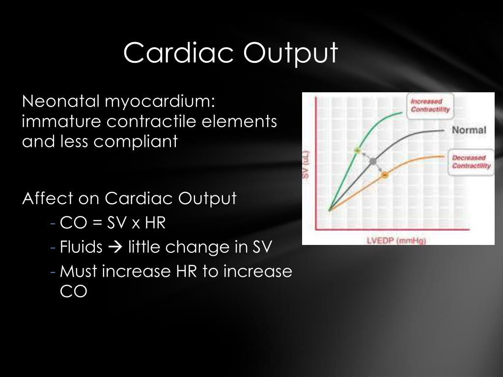 PPT - Neonatal vs Adult Cardiac Physiology PowerPoint Presentation ...