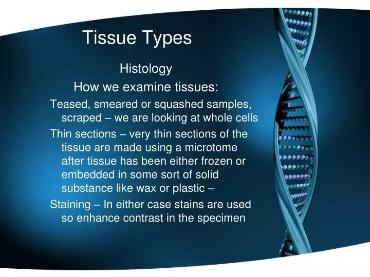 PPT - Tissue Types PowerPoint Presentation, free download - ID:2080505