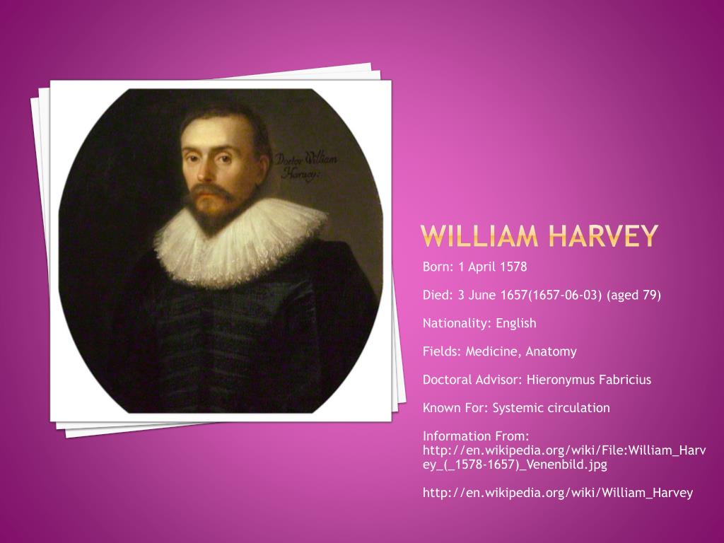 PPT - William Harvey The Blood Flow Scientist PowerPoint Presentation ...